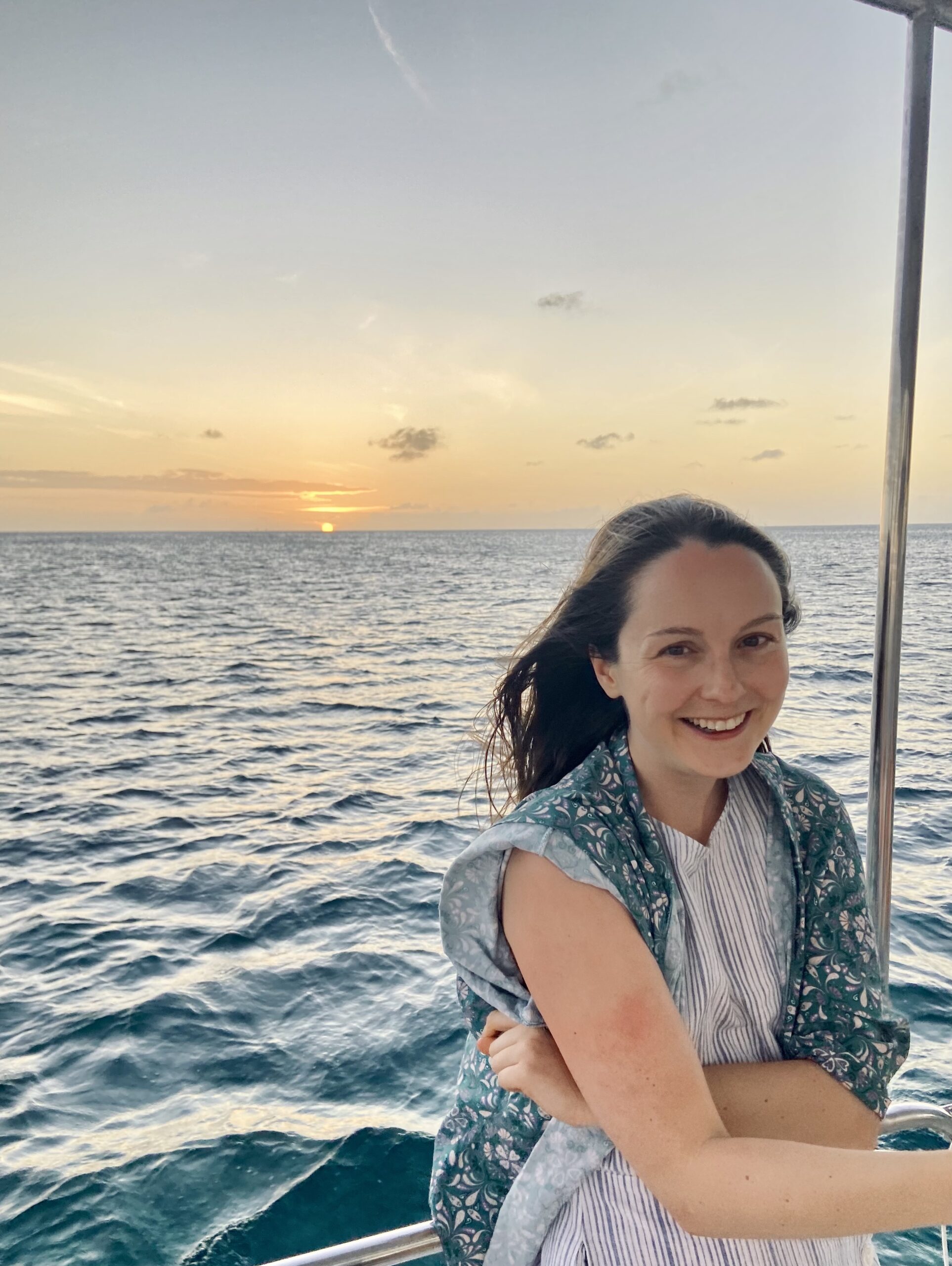 Dr. Alison Posey: Investigating How Racial Minority Authors and Artists ...